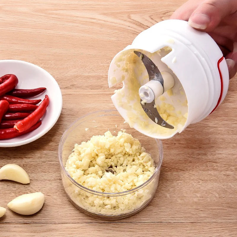 Manual Garlic Chopper With Stainless Steel Blades on Luulla